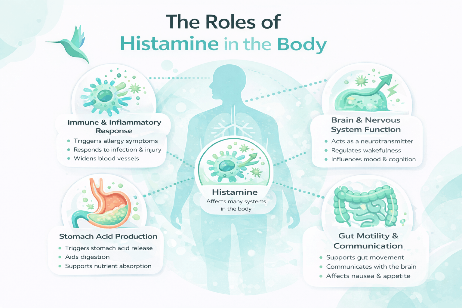 Is It Allergies or Histamine Intolerance? How to Tell the Difference ...